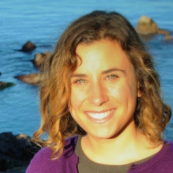 About Us – LiMPETS