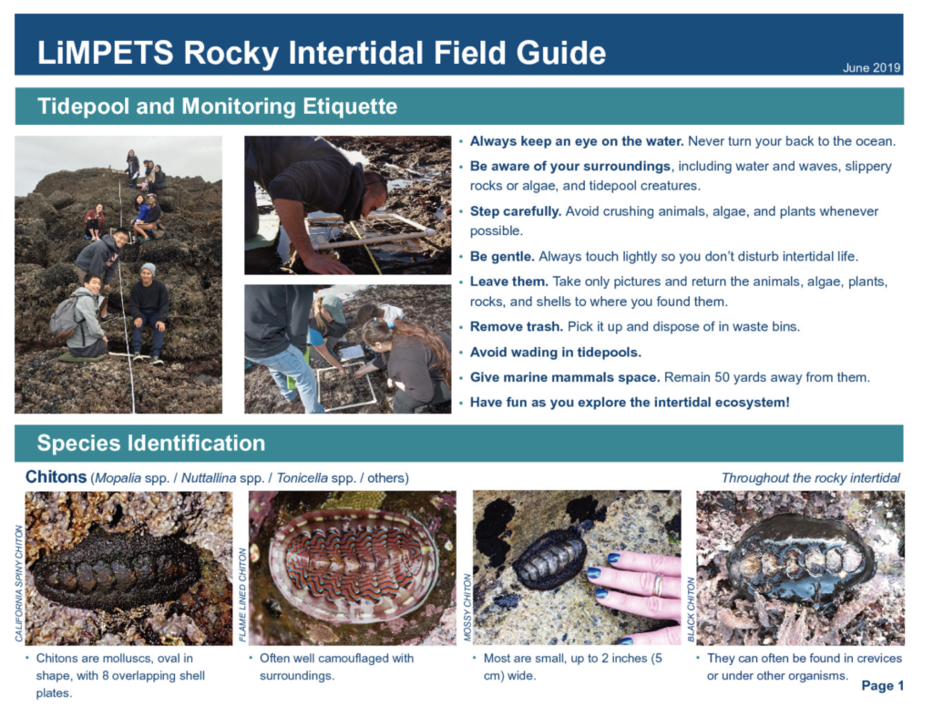 LiMPETS News – LiMPETS