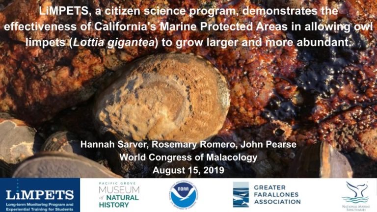 LiMPETS News – LiMPETS