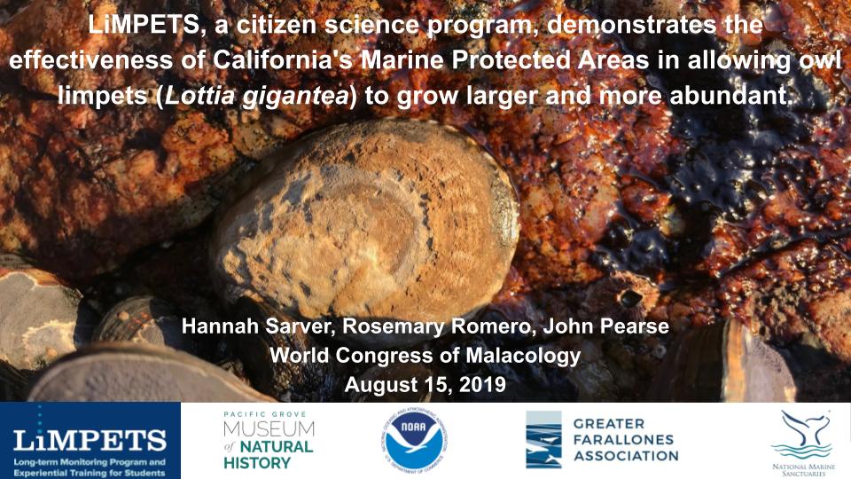 LiMPETS News – LiMPETS